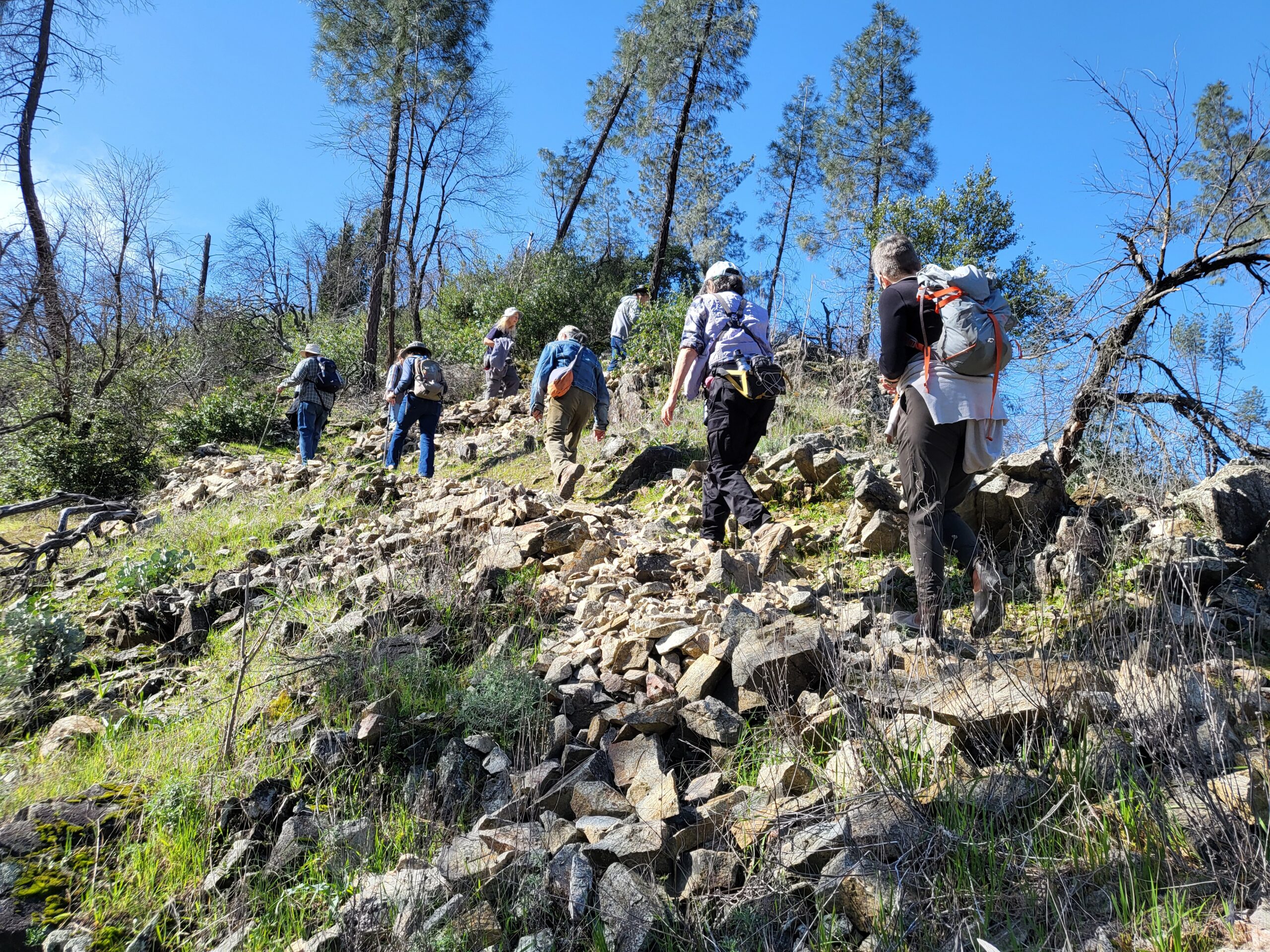 Trip Report: Trail 58 (February 2024) - EcoShasta | S.E.A.