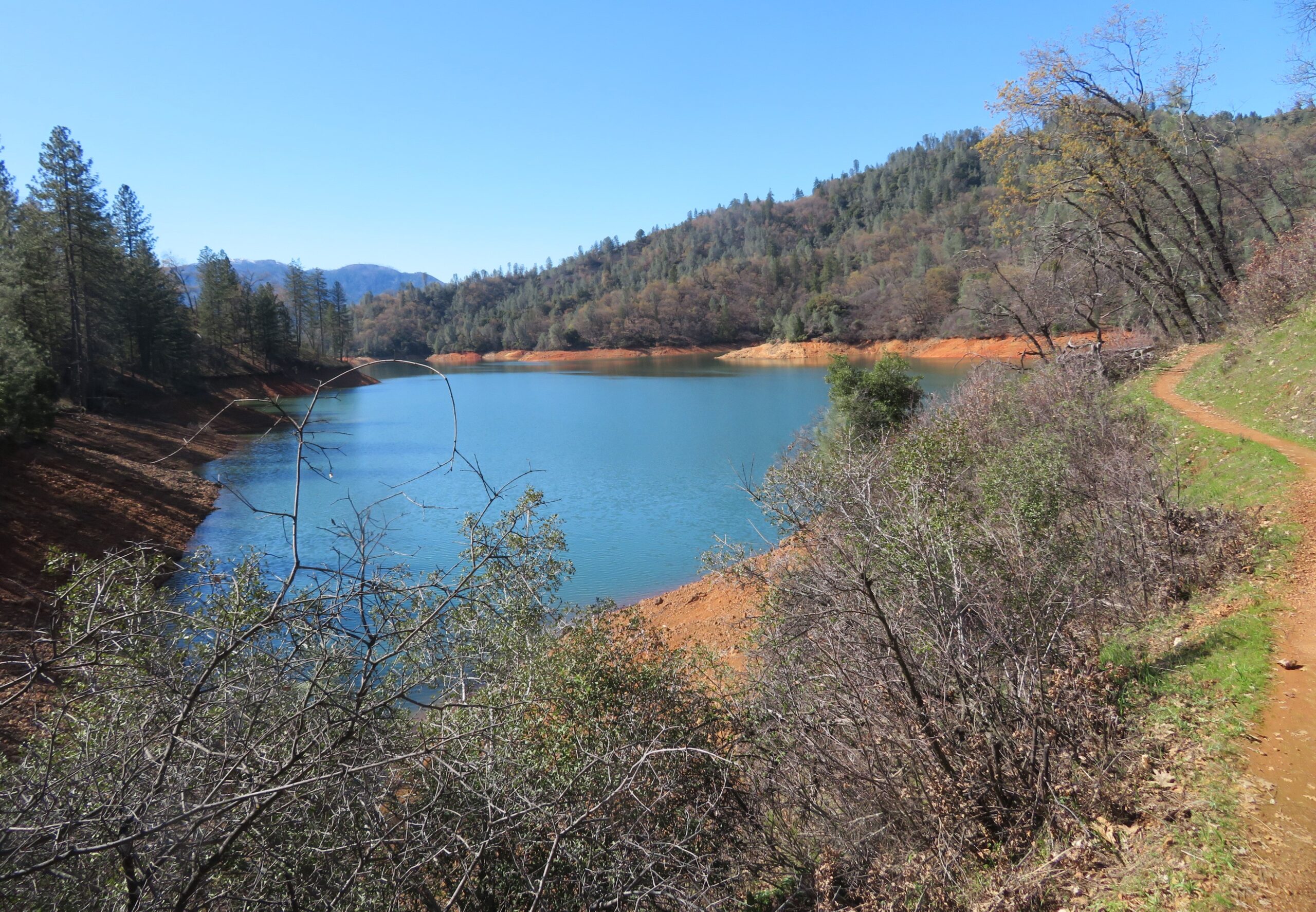 Trip Report: Water’s Gulch (March 23, 2024) - EcoShasta | S.E.A.