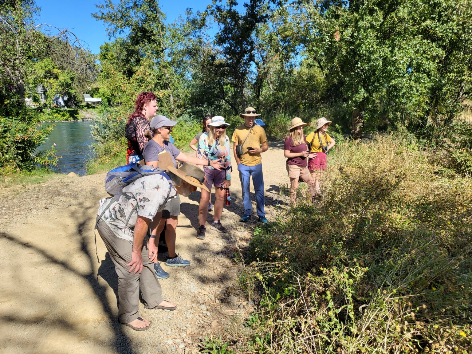 Trip Report: BioBlitz at Nur Pon (Sept 2024) - EcoShasta | S.E.A.
